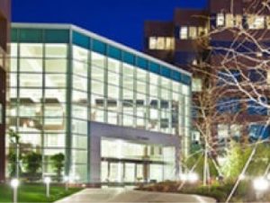 Spine Doctor in Orange County & Los Angeles | Dr. Hamid Mir MD