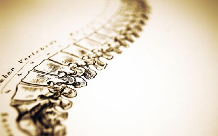 Spinal Anatomy and Disc Function Basics - Hamid R. Mir MD